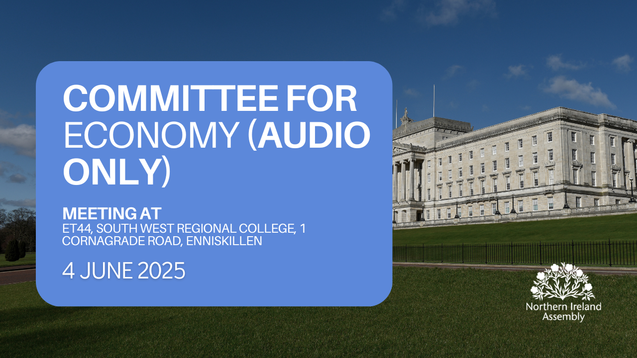 Committee for the Economy Meeting, Wednesday 4 June 2025 - Northern ...