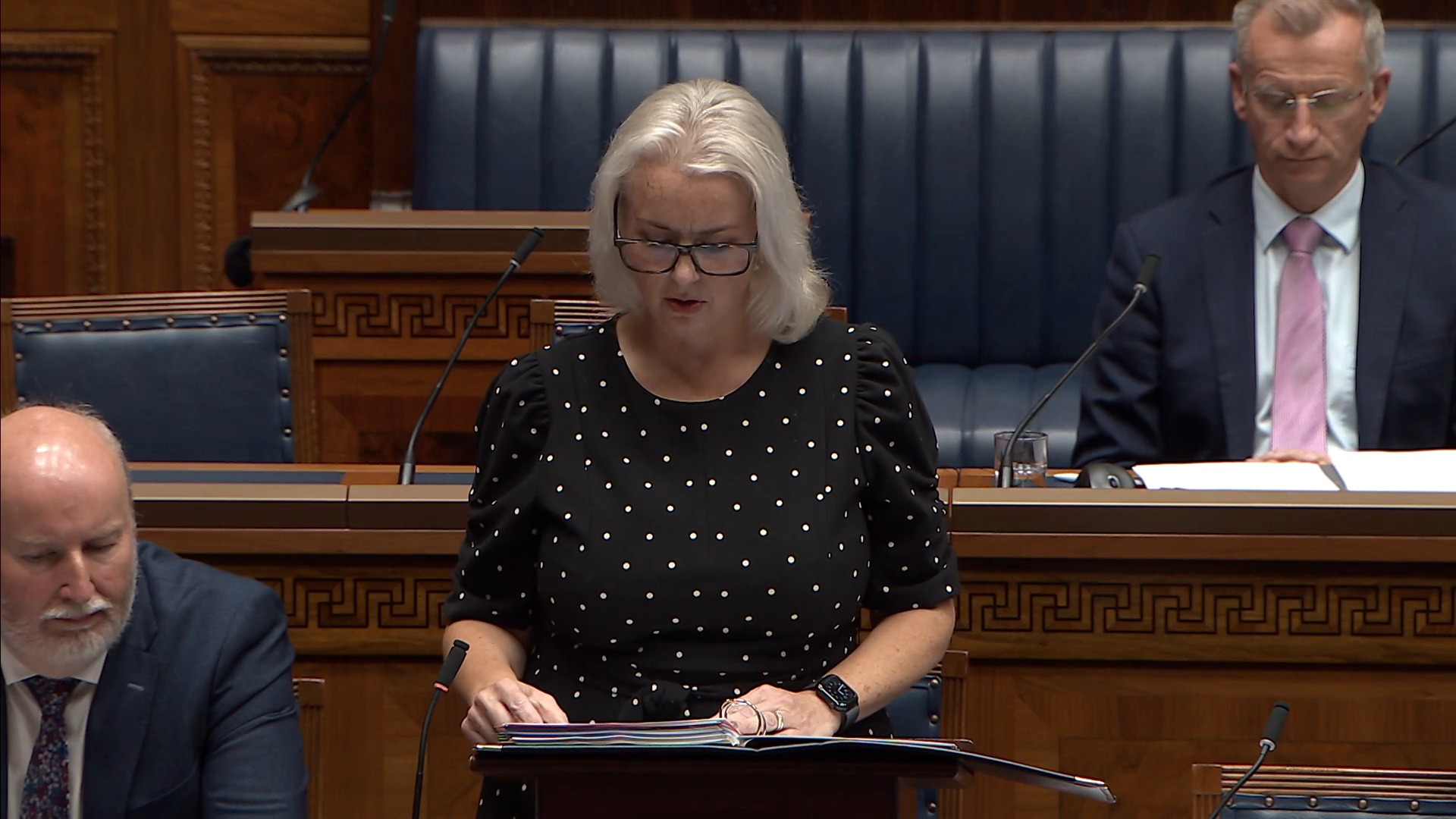 Executive Committee Business - Inquiry, Mother and Baby Institutions ...